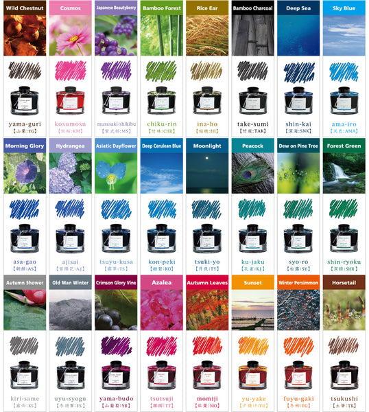 PILOT Iroshizuku Fountain Pen Ink 50ml Asagao – WRITER Stationery Store